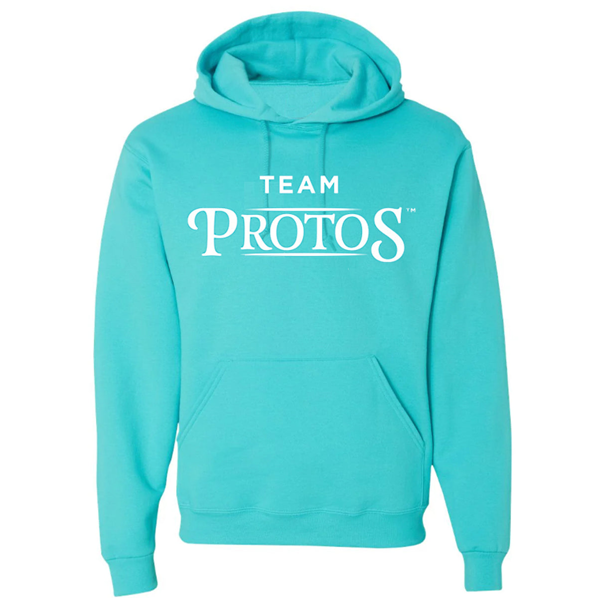 Protos House Hoodie – The Ron Clark Academy