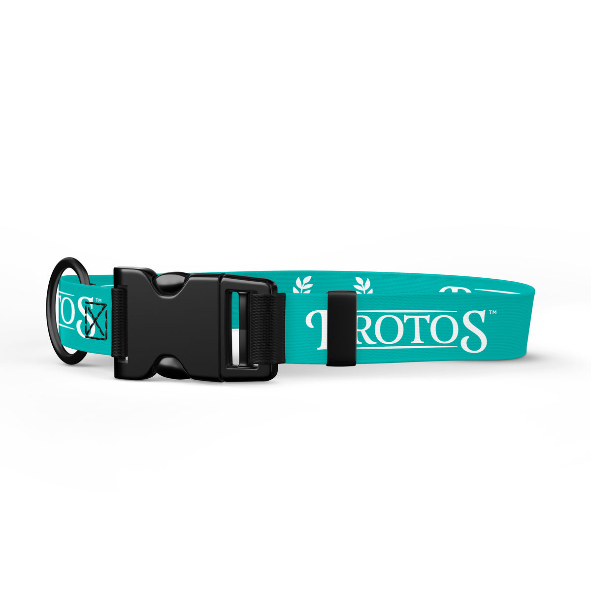 Protos Dog Collar – The Ron Clark Academy