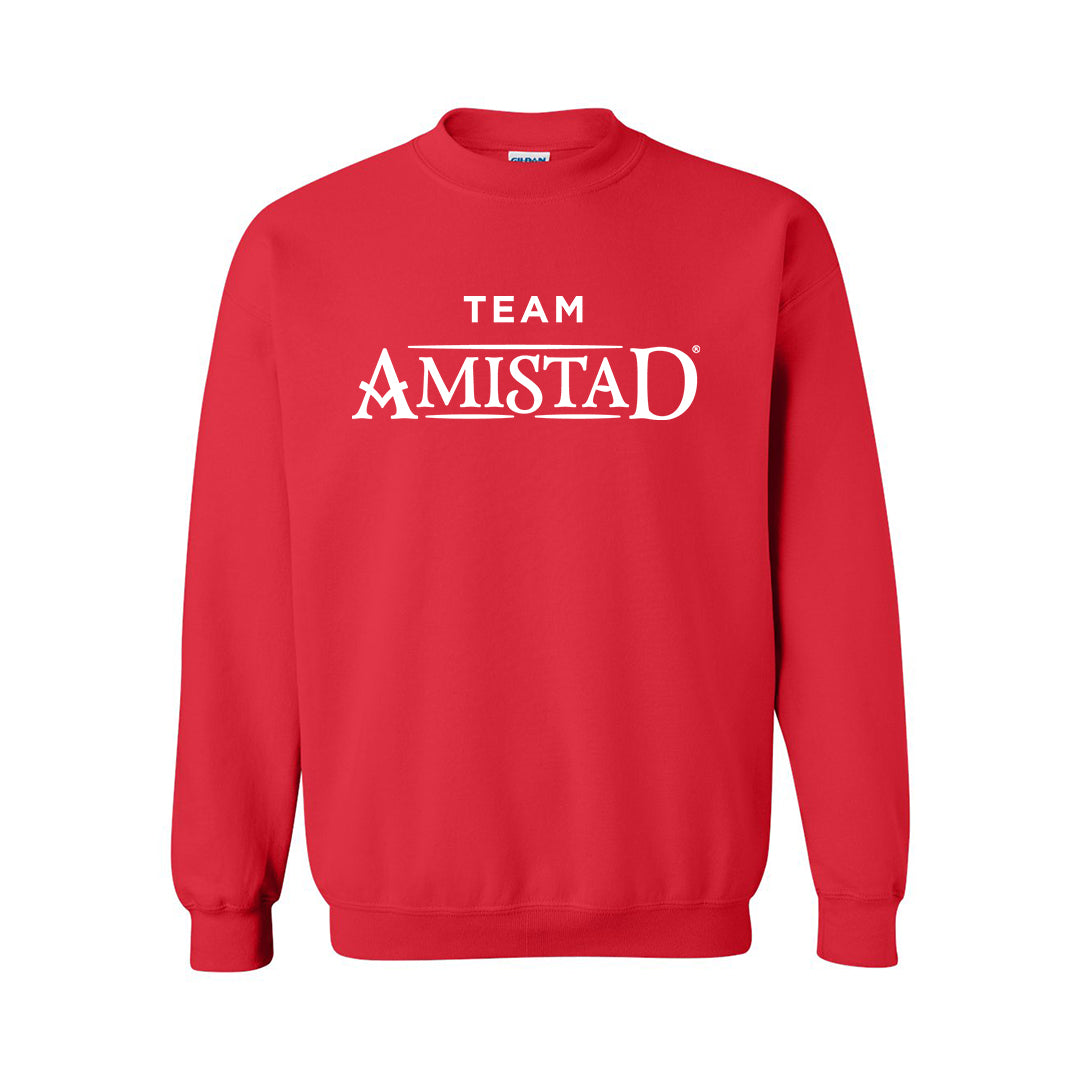 Amistad Team House Sweatshirts – The Ron Clark Academy