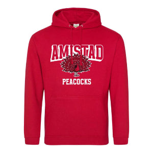 Amistad Mascot Hoodie – The Ron Clark Academy