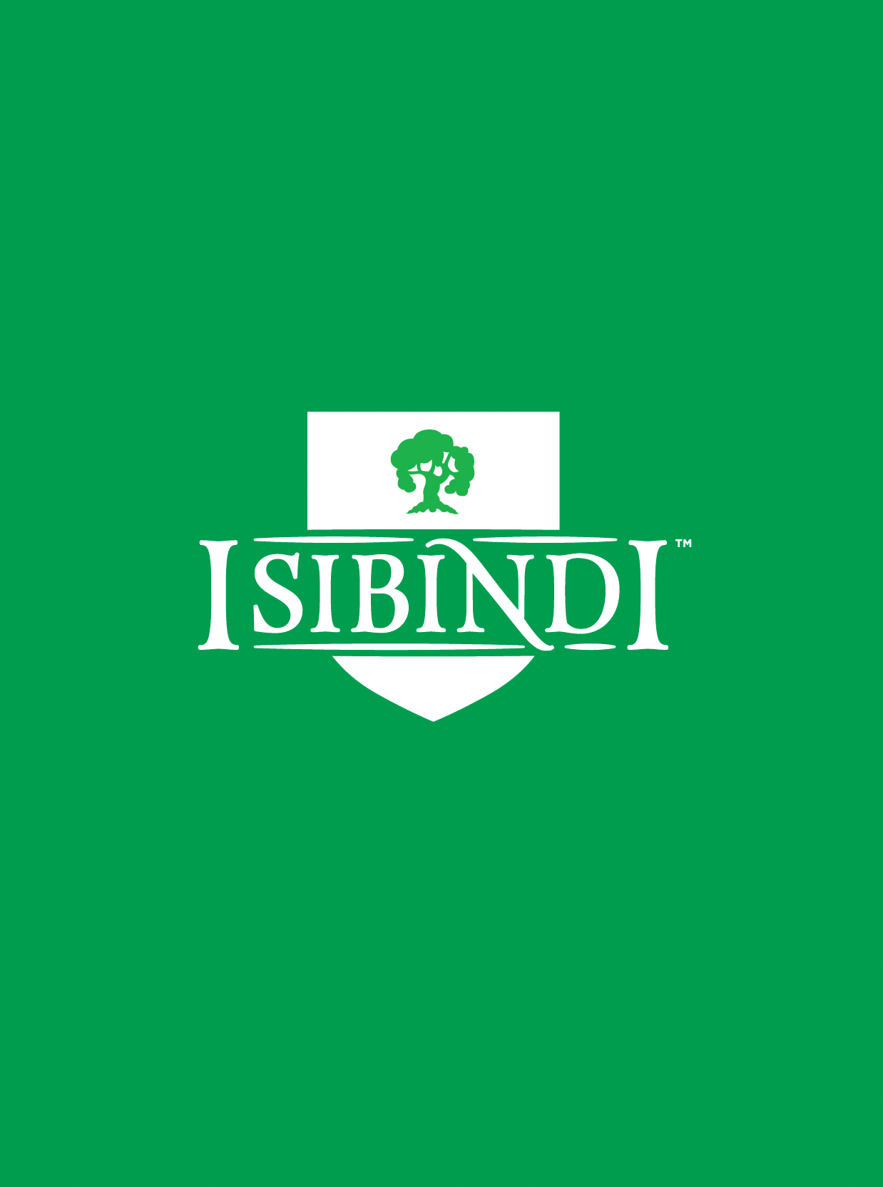 Isibindi New – Page 3 – The Ron Clark Academy