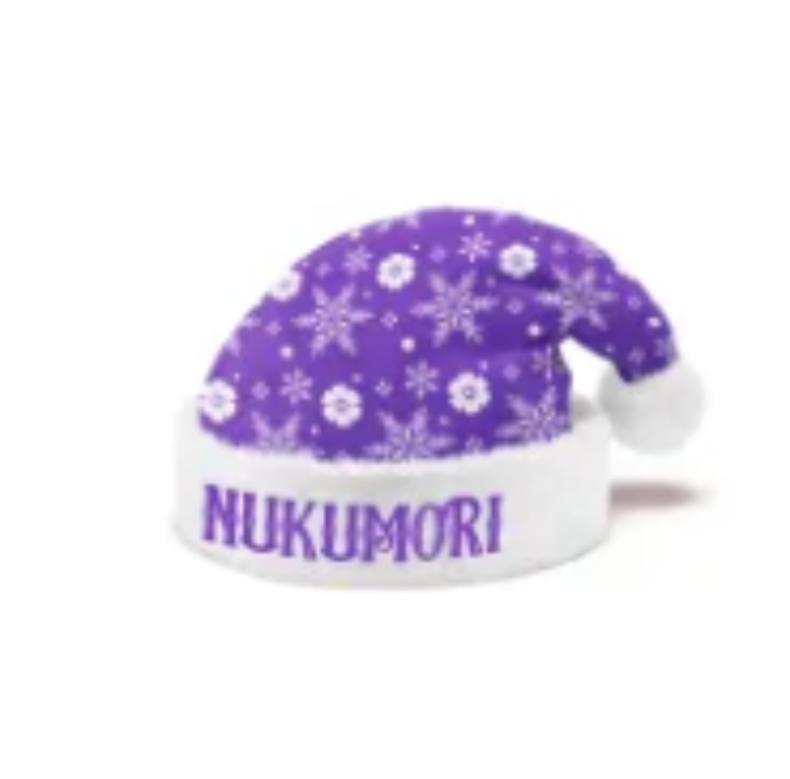 Nukumori House Holiday Hat – The Ron Clark Academy
