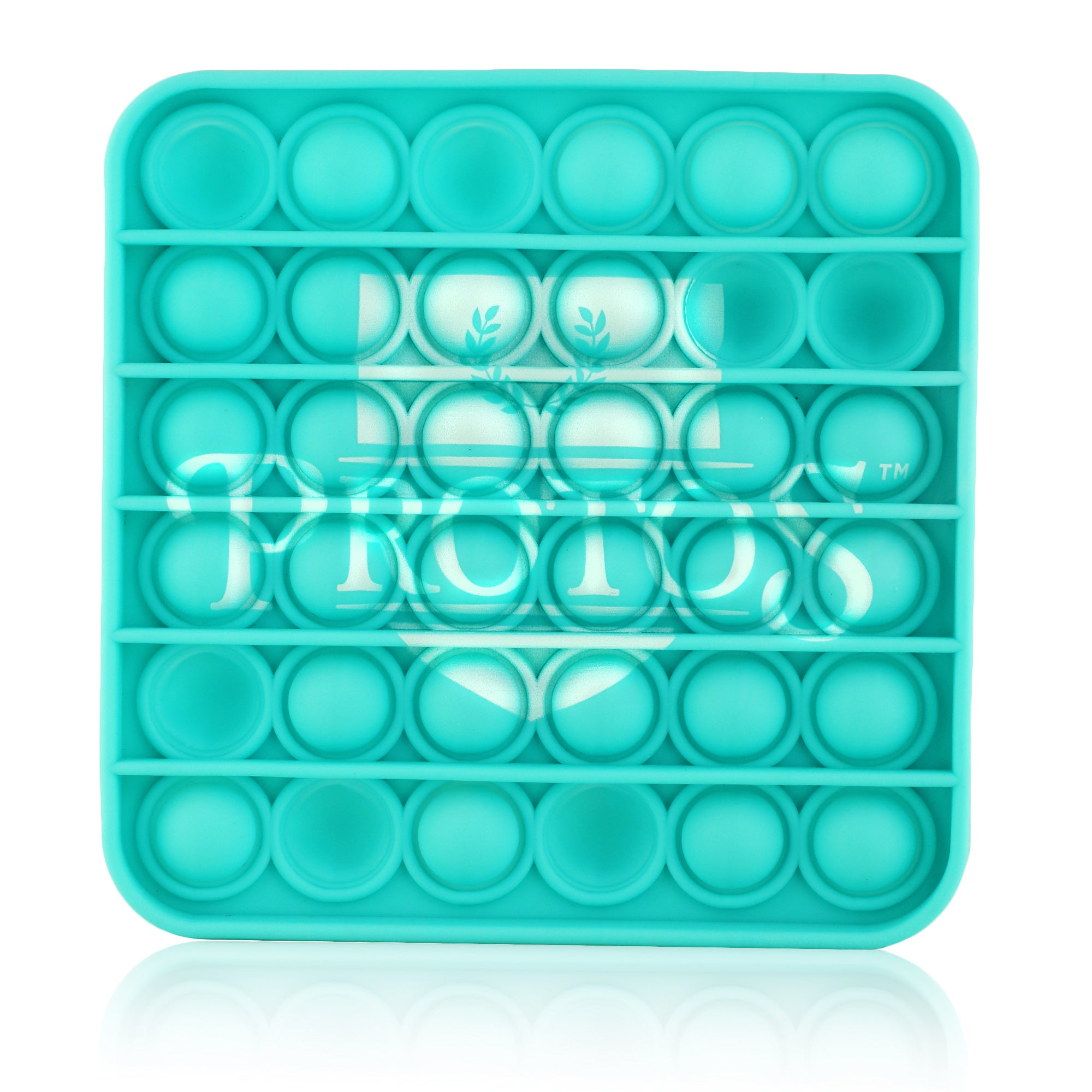 Protos – The Ron Clark Academy