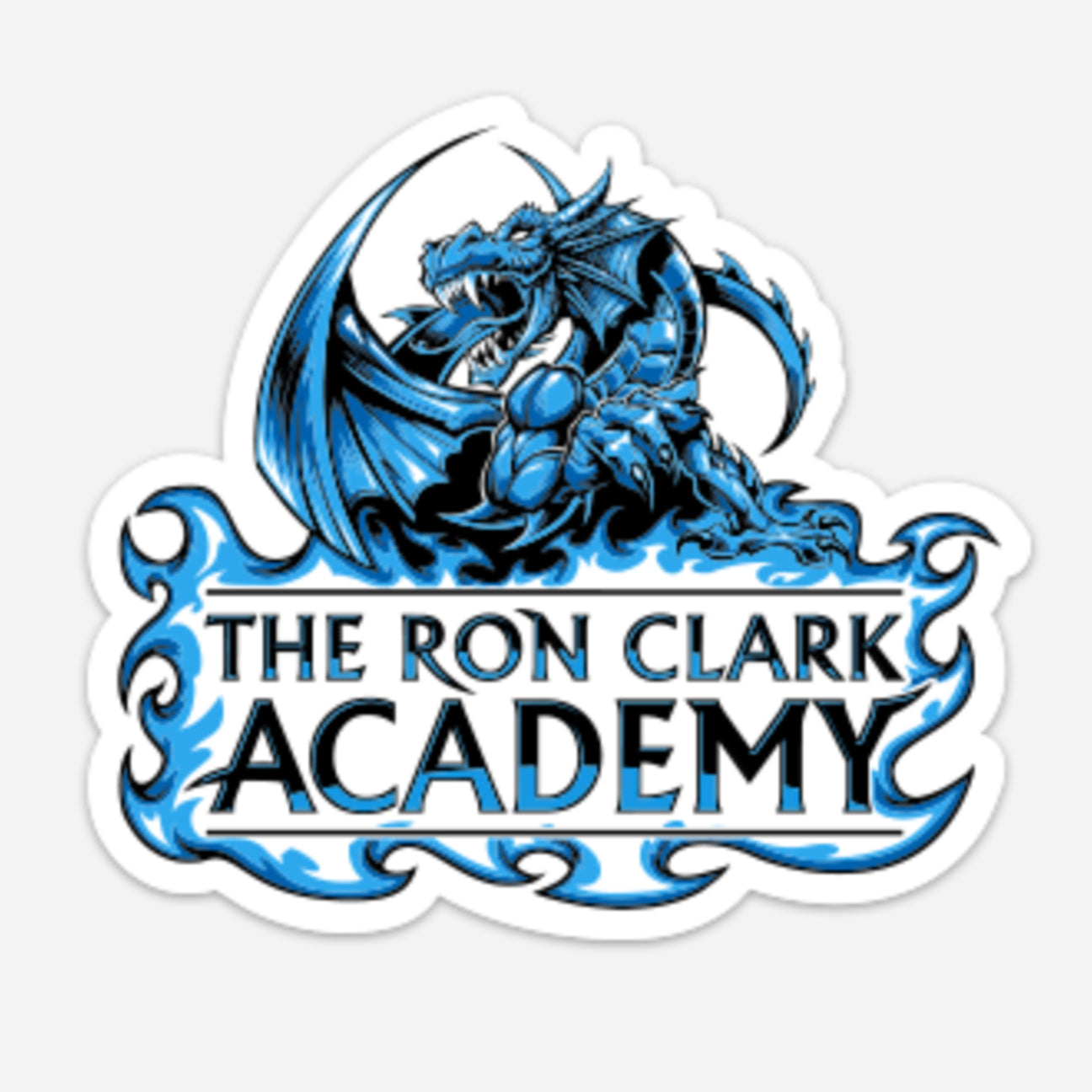 RCA Gifts – The Ron Clark Academy